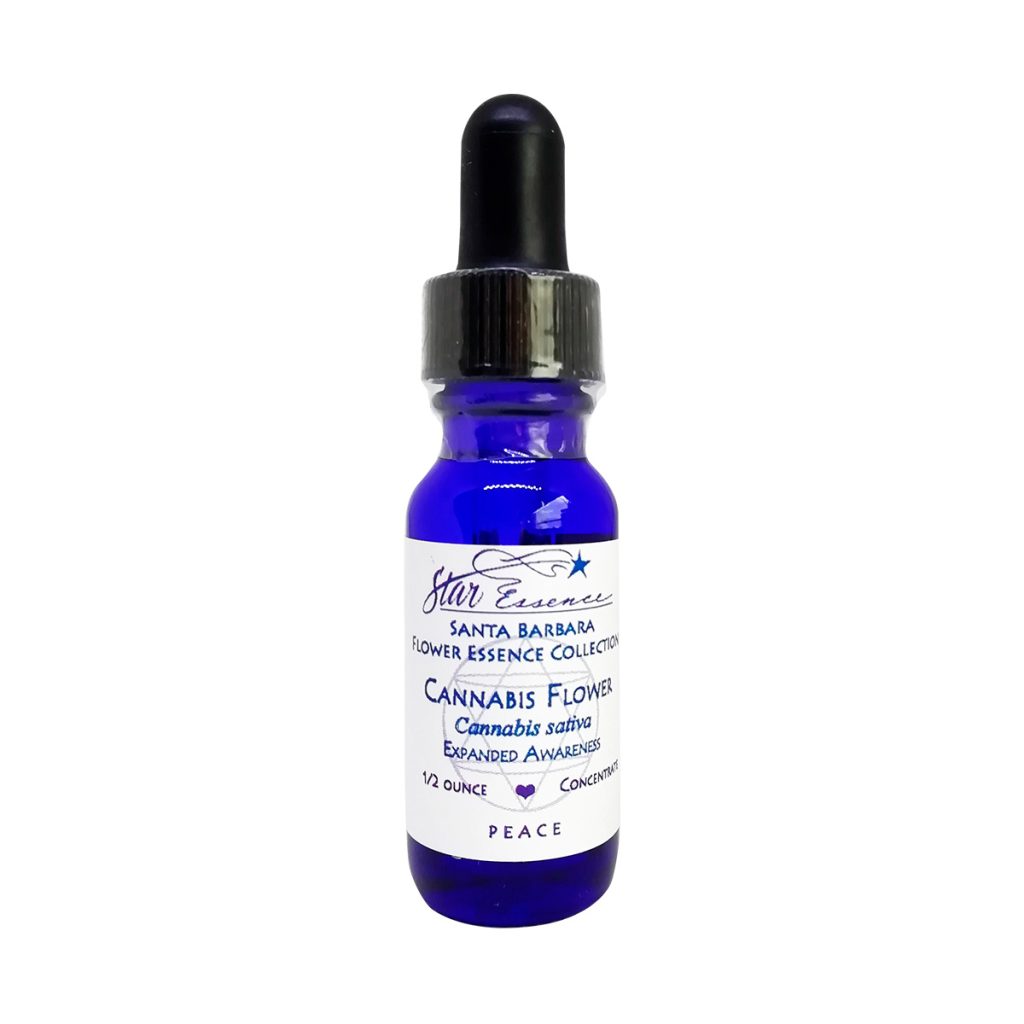 Cannabis (Conciencia ampliada) - Star Essences - Gaia Esencias