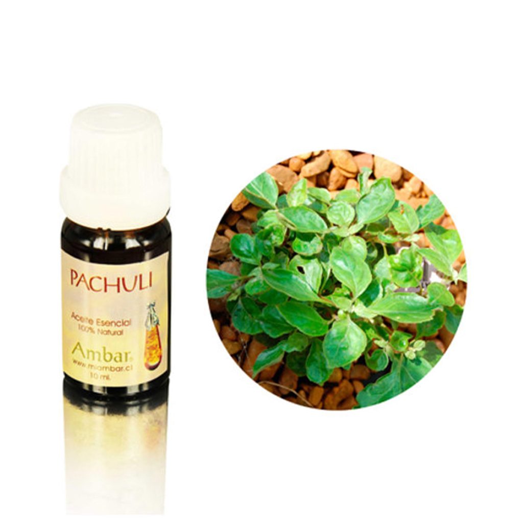 Pachulí 10 ml. - Gaia Esencias