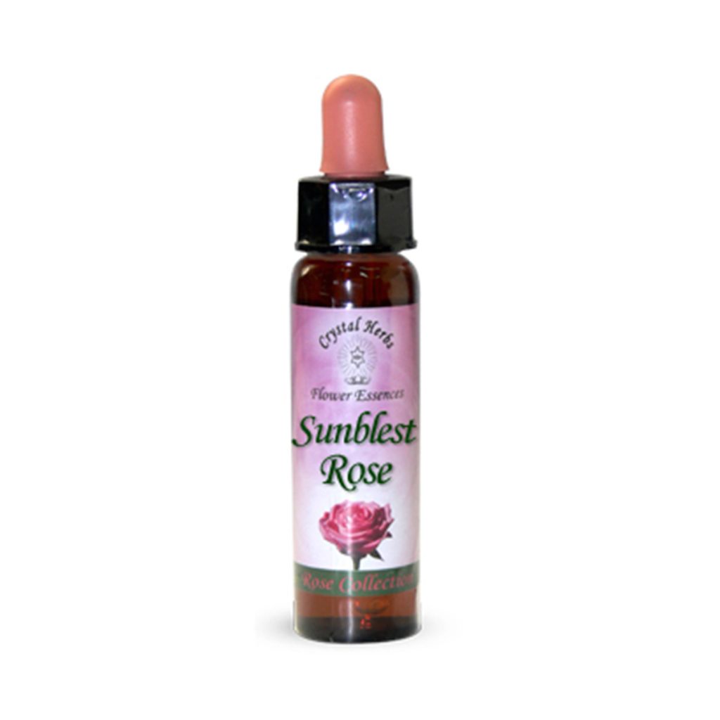 Sunblest Rose (Rosa sunblest) - Crystal Herbs - Gaia Esencias