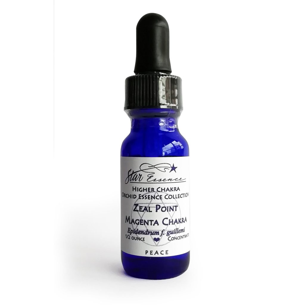 Zeal Point Magenta - Star Essences - Gaia Esencias